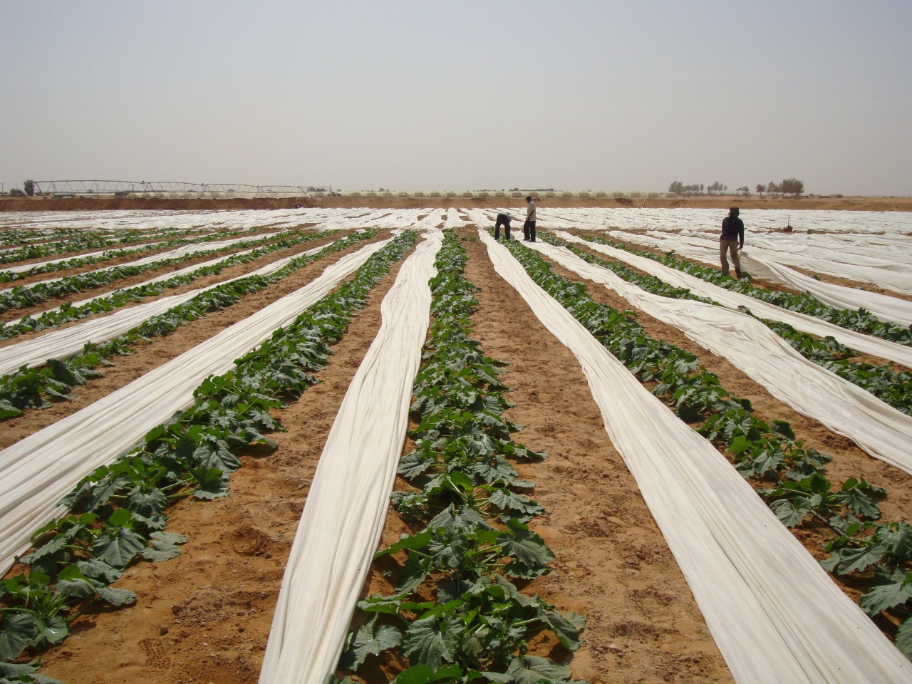 Agricultural uses - Areen Fabric Sa